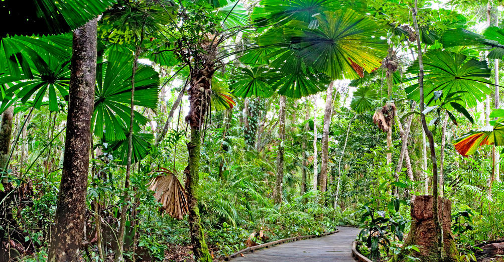 5 Best Things to Do in Cairns This Spring | Cairns Holiday ...